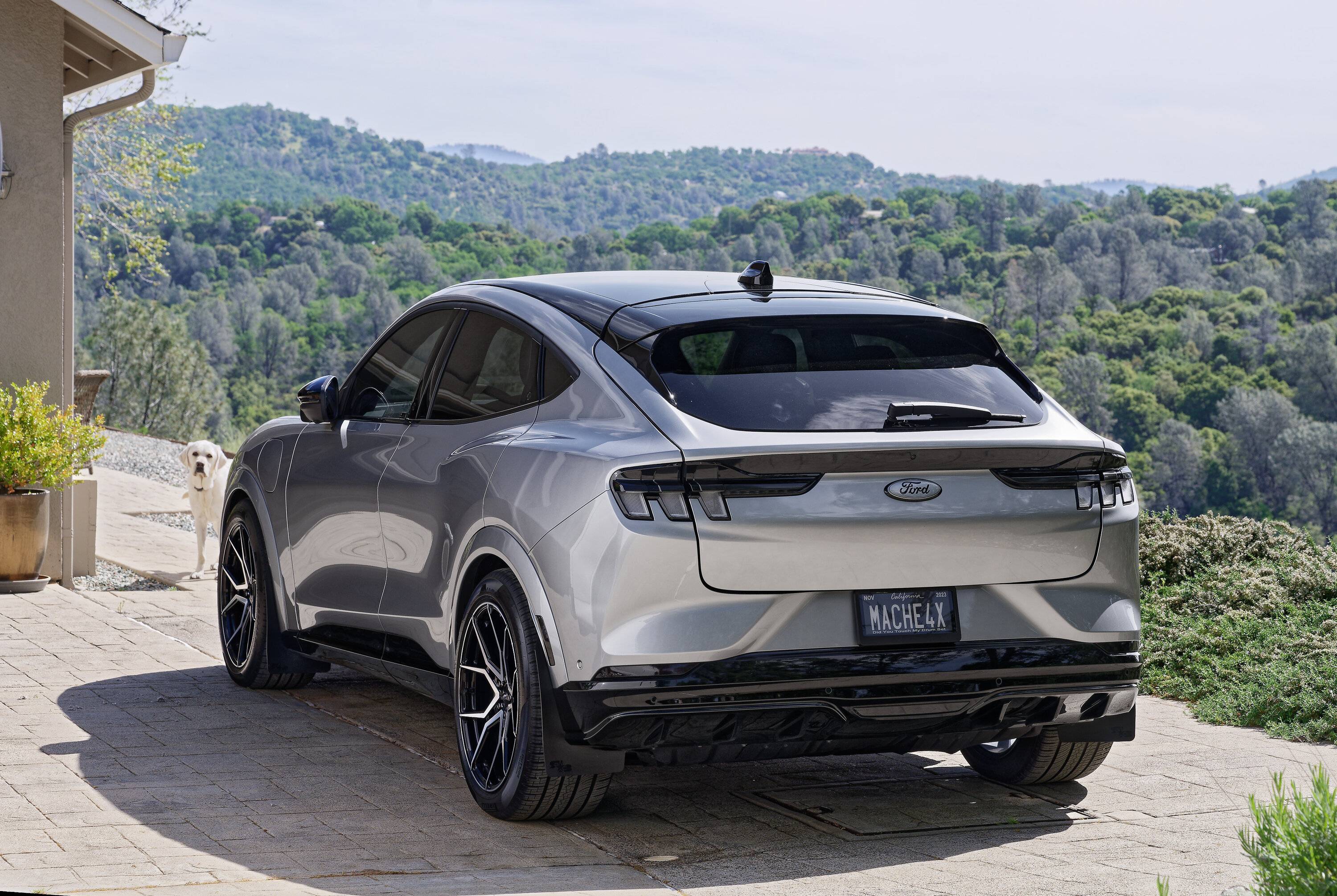 Lowering the GTPE suspension? Options? | MachEforum - Ford Mustang Mach ...