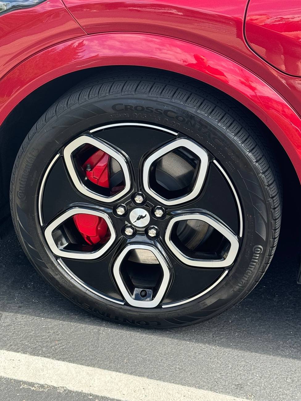 Best mud flaps/splash guards. | MachEforum - Ford Mustang Mach-E News ...