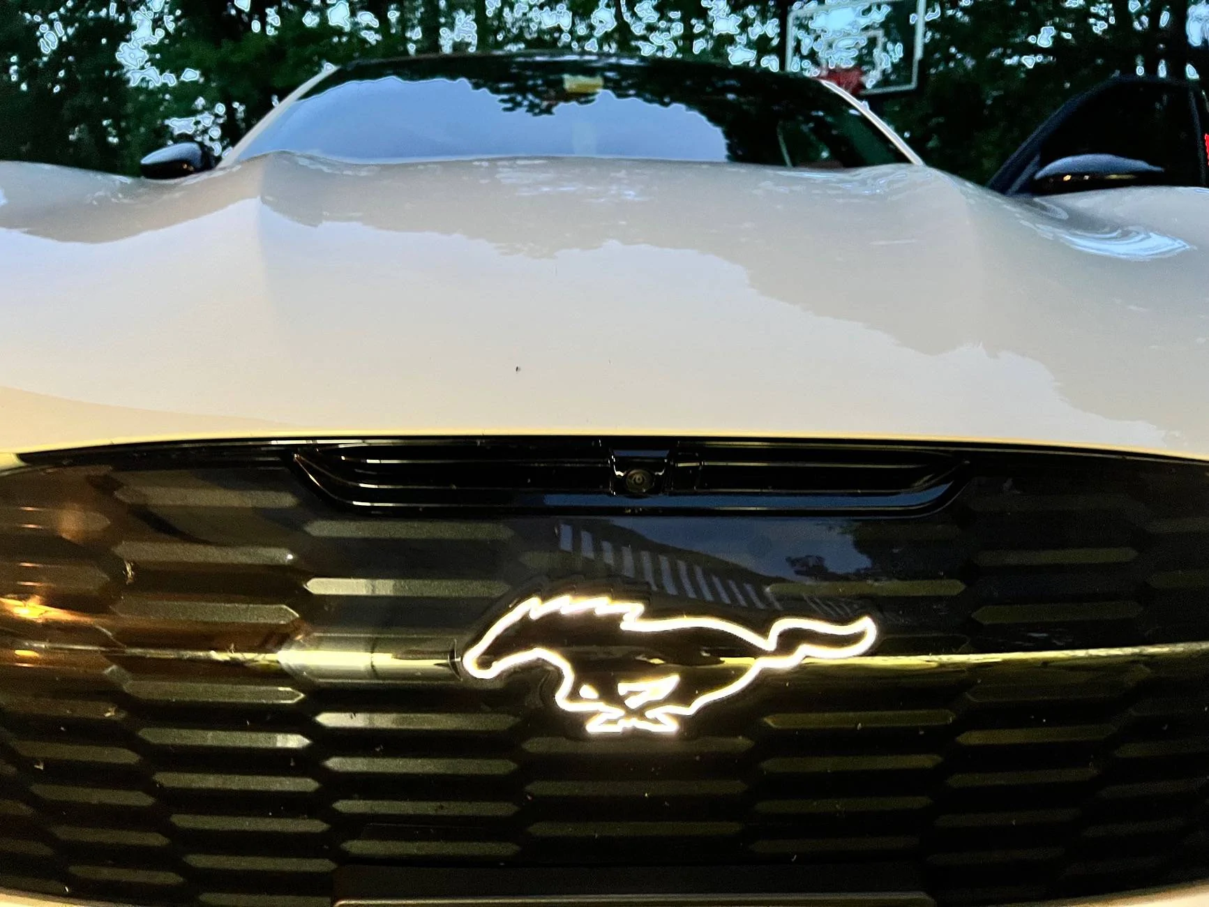 STAR WHITE METALLIC Mach-E Photos | Page 27 | MachEforum - Ford Mustang ...