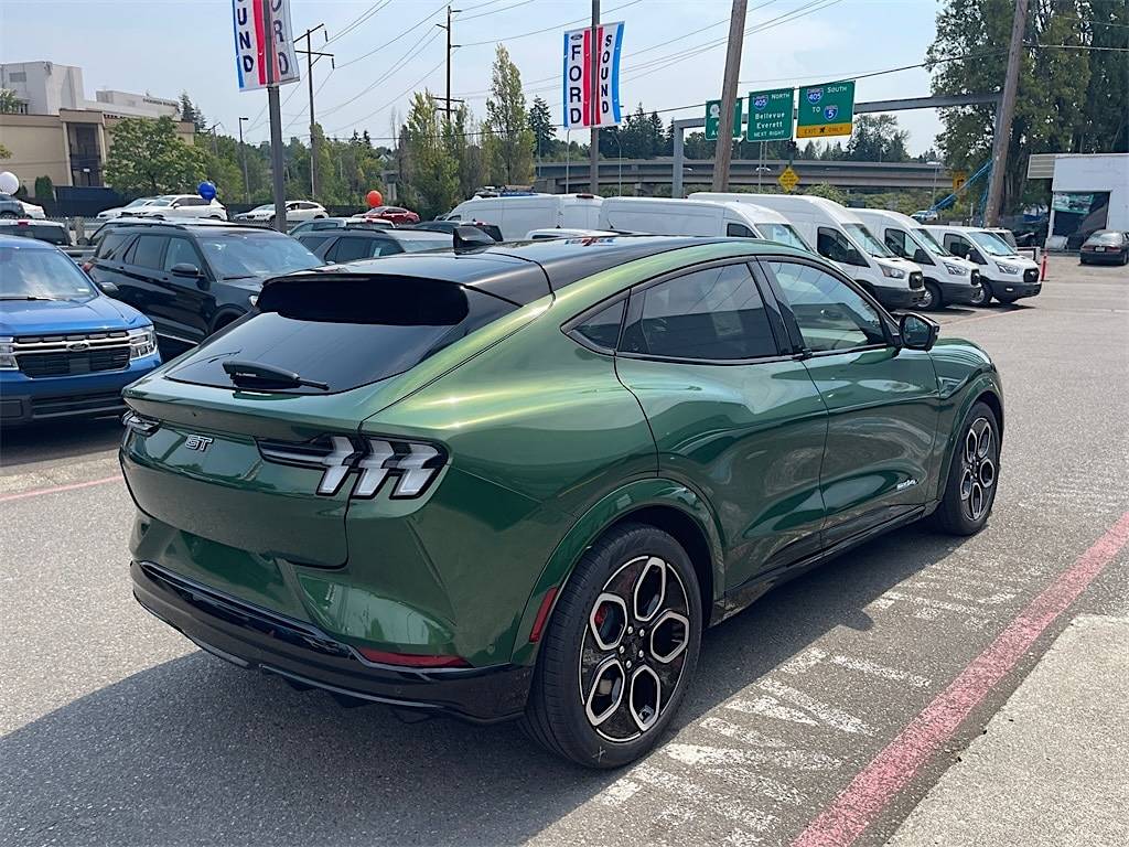 ERUPTION GREEN Mach-E Club | MachEforum - Ford Mustang Mach-E News ...