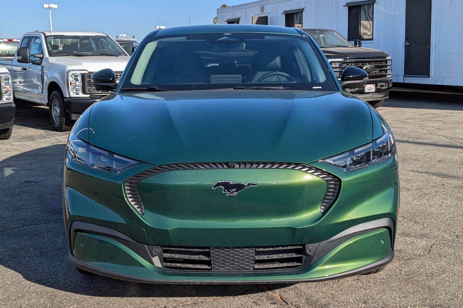 ERUPTION GREEN Mach-E Club | MachEforum - Ford Mustang Mach-E News ...