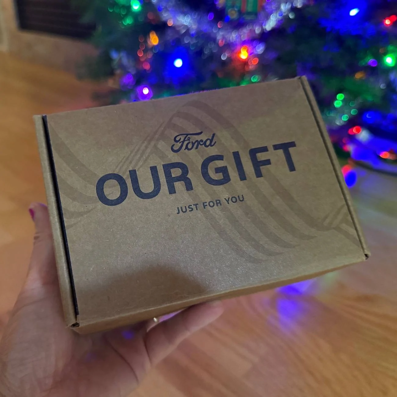 Christmas gift from Ford | Page 4 | MachEforum - Ford Mustang Mach-E ...
