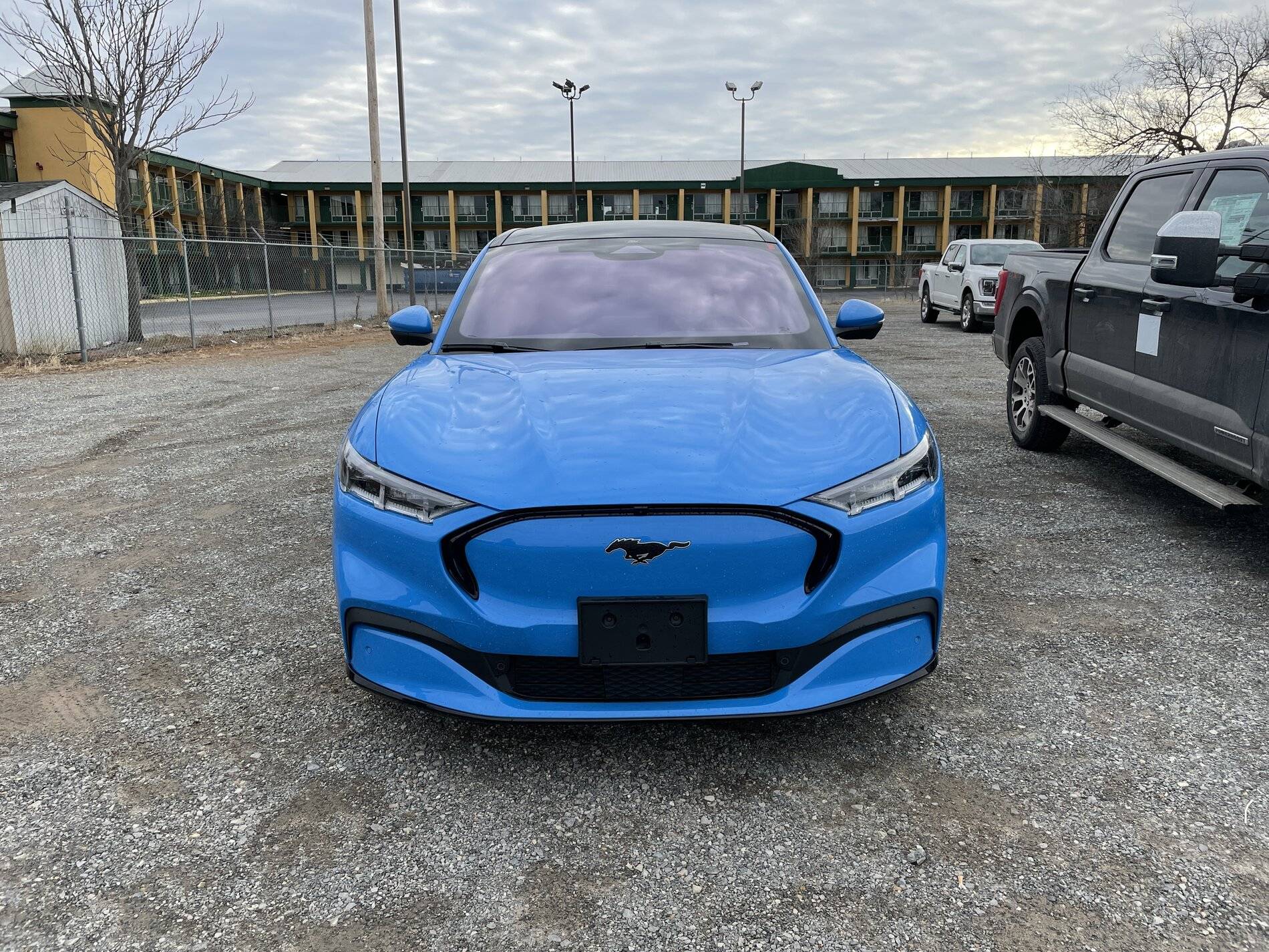 Front license plate | Page 3 | MachEforum - Ford Mustang Mach-E News ...