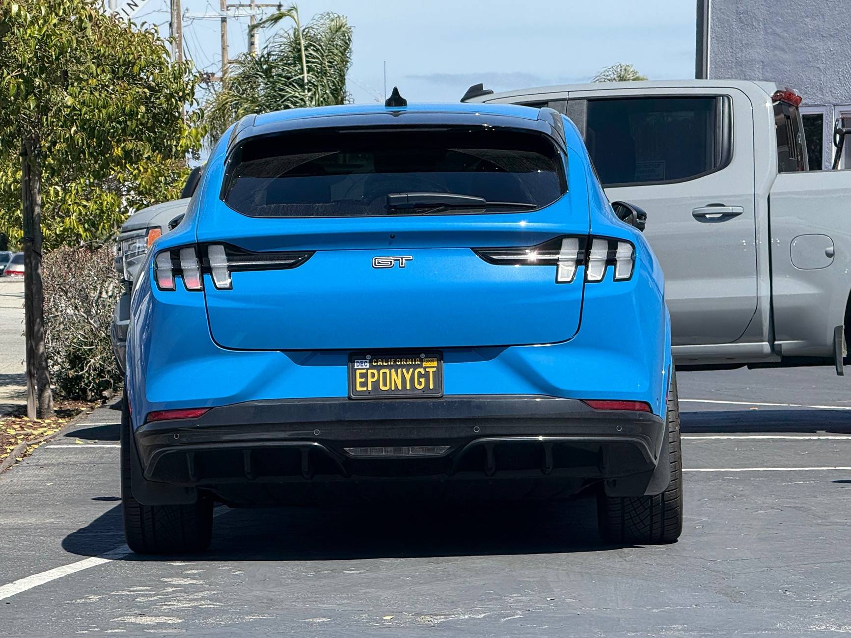 Aftermarket mud flaps? | MachEforum - Ford Mustang Mach-E News, Owners ...