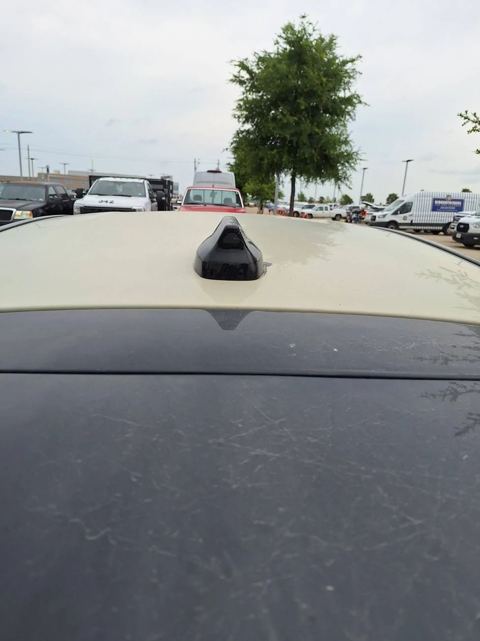 2025 Premium X Desert Sand color and exterior changes | MachEforum ...