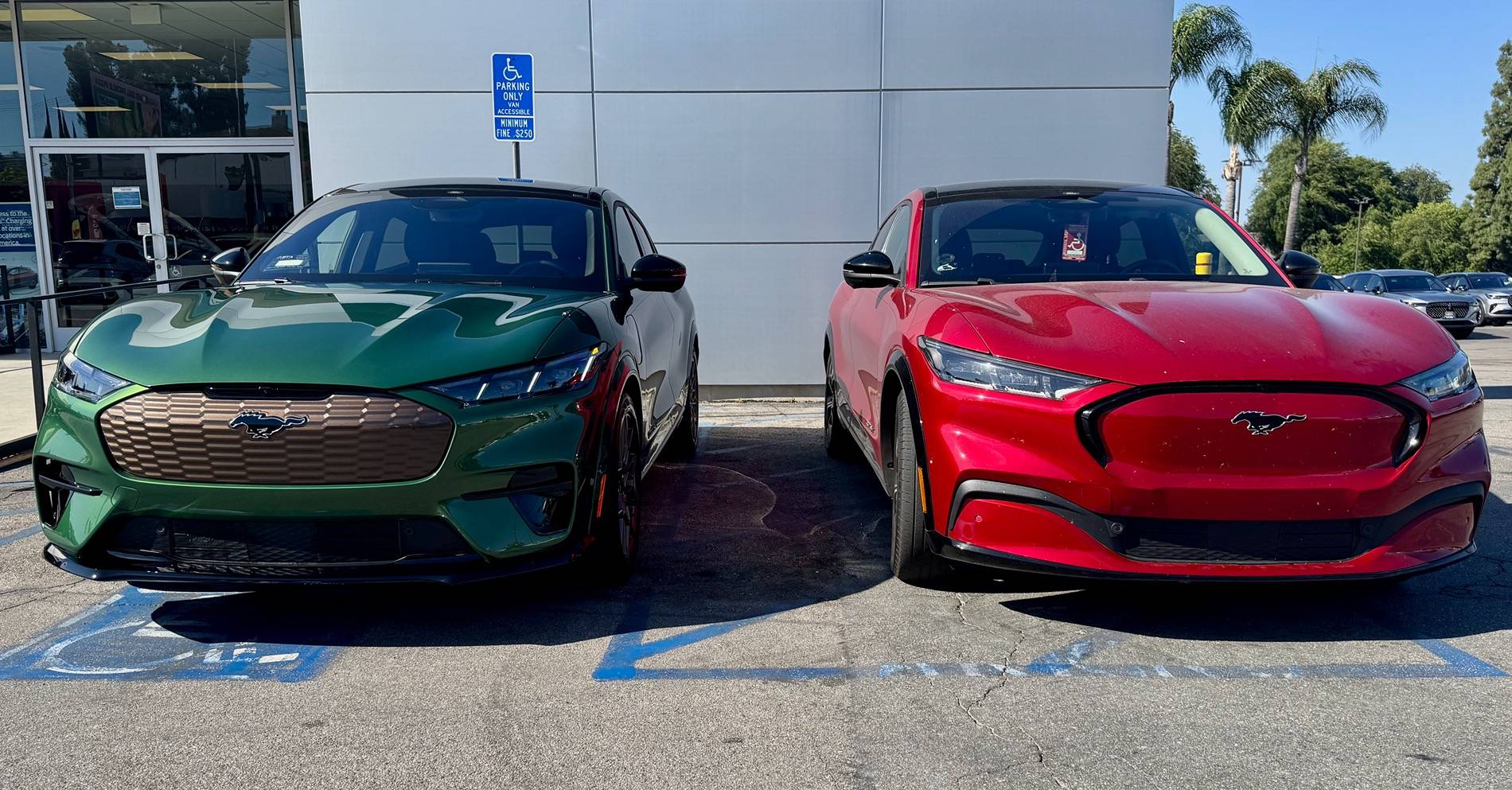 Red means stop, Green means GO! - my new '25 MME GT | MachEforum - Ford ...