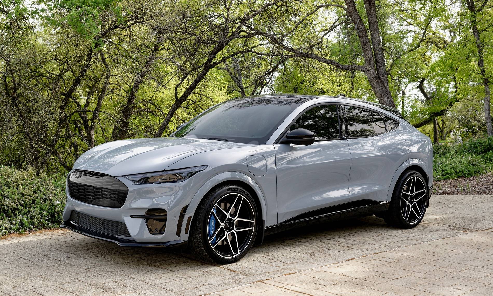 Performance upgrade | MachEforum - Ford Mustang Mach-E News, Owners ...