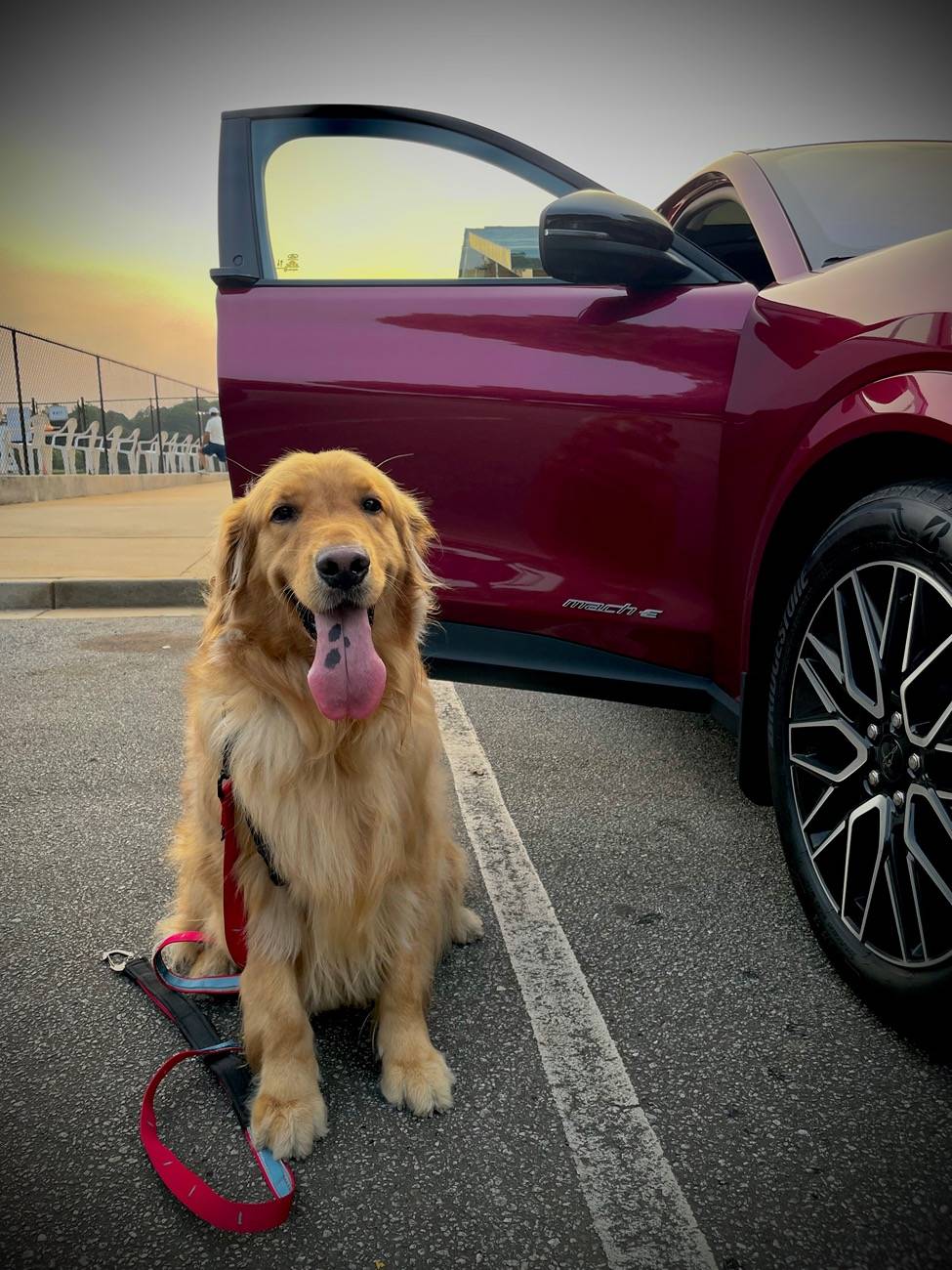 MOLTEN MAGENTA METALLIC Mach-E Club | MachEforum - Ford Mustang Mach-E ...