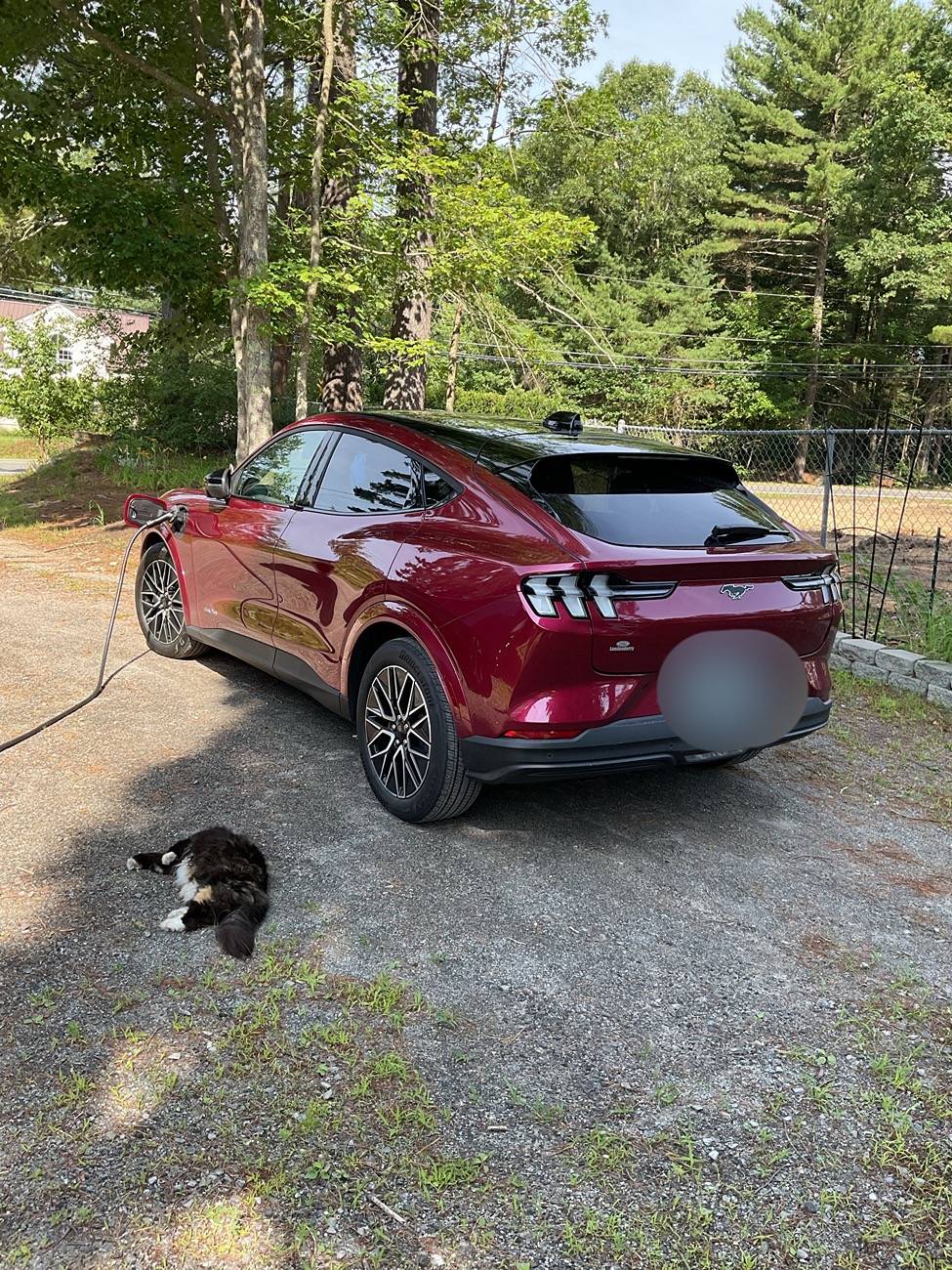 MOLTEN MAGENTA METALLIC Mach-E Club | MachEforum - Ford Mustang Mach-E ...