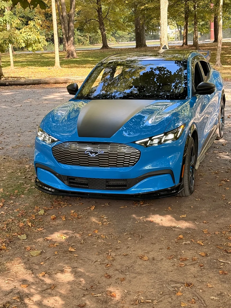 Non GT 3D Grill BSKT DESIGN | MachEforum - Ford Mustang Mach-E News ...