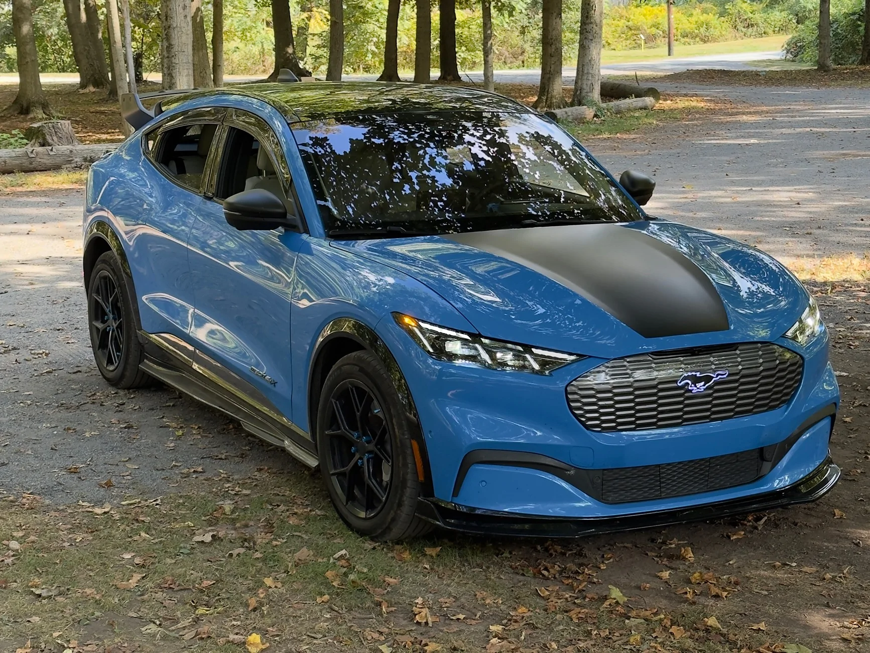 Non GT 3D Grill BSKT DESIGN | MachEforum - Ford Mustang Mach-E News ...