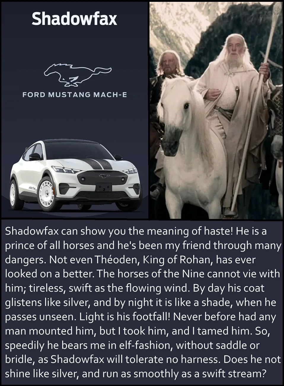 What's your Mach-E's nickname? | Page 10 | MachEforum - Ford Mustang ...