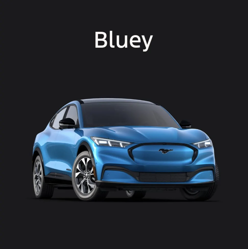 What's your Mach-E's nickname? | Page 10 | MachEforum - Ford Mustang ...