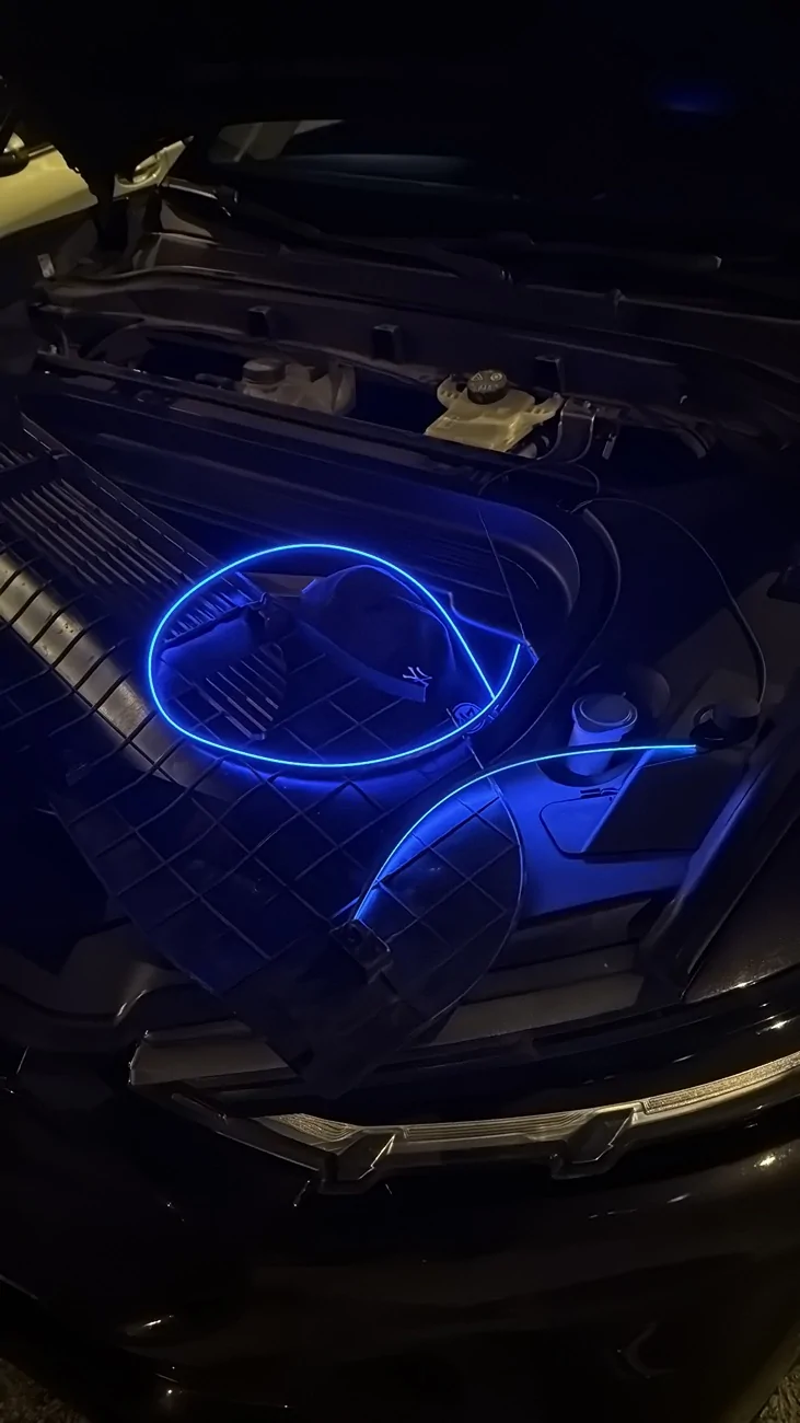 Installation of LED lights on the doors | MachEforum - Ford Mustang ...