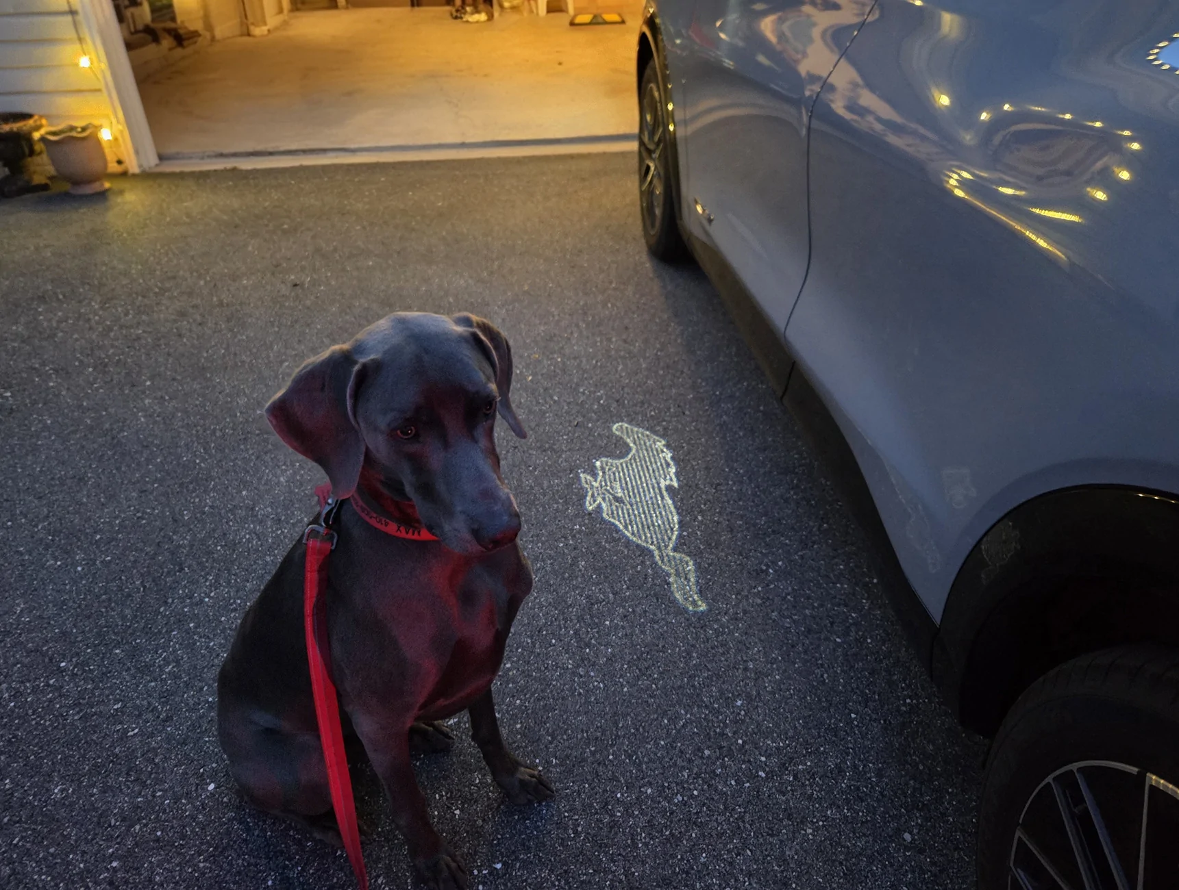 Dog and pony show... | MachEforum - Ford Mustang Mach-E News, Owners ...