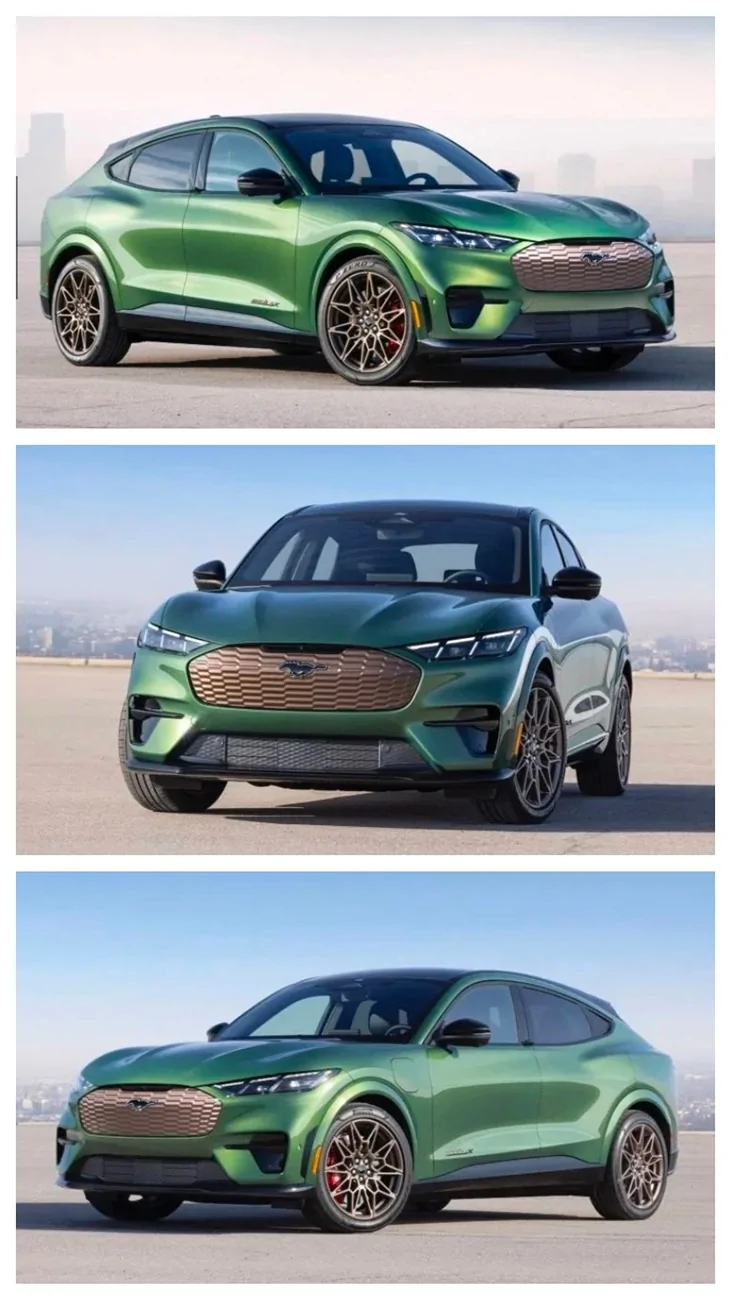 Autoblog Review: 2025 Mach-E Rally cold-weather performance, comfort ...