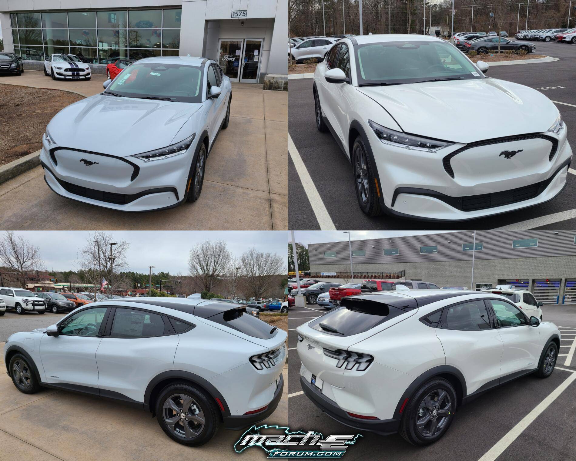 Space White vs Star White Mach-E Pics | MachEforum - Ford Mustang Mach ...