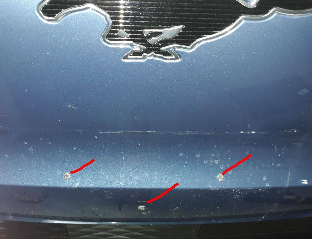 How to - remove front license plate bracket | MachEforum - Ford Mustang ...