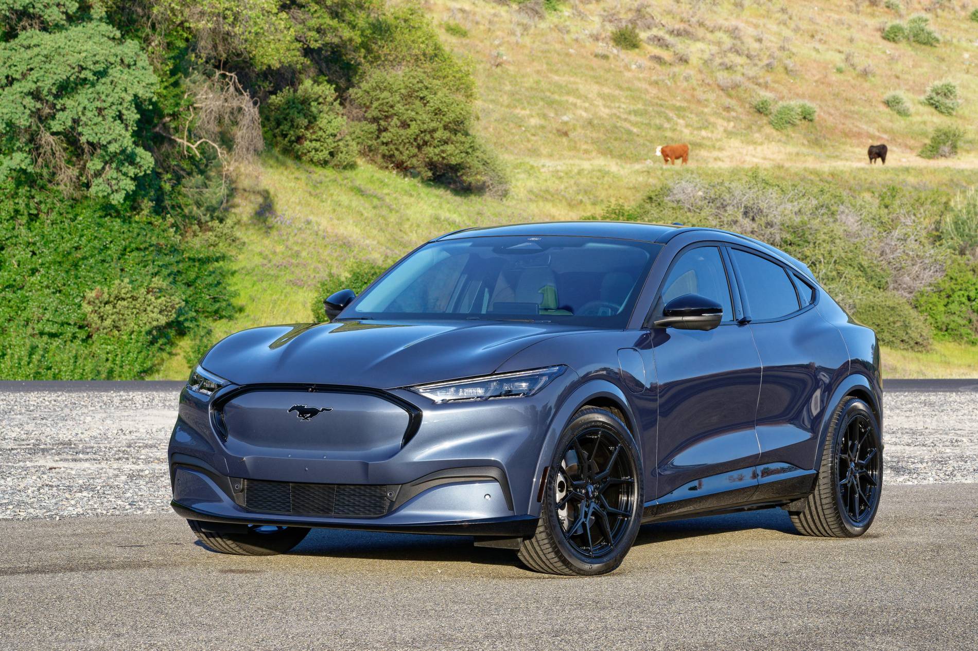 Mach-E Aftermarket wheel and tire information and pictures | MachEforum ...