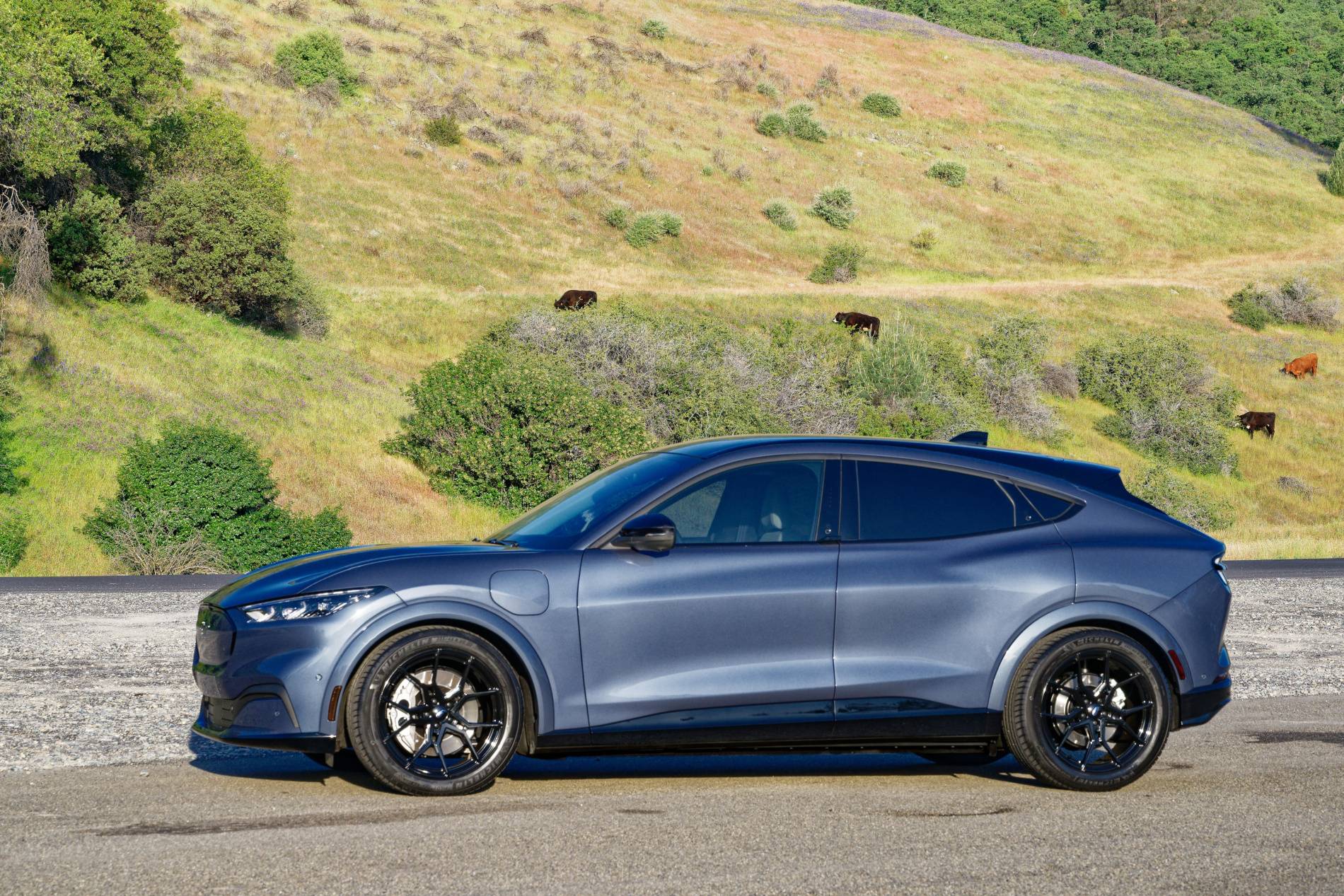 Mach-E Aftermarket wheel and tire information and pictures | MachEforum ...