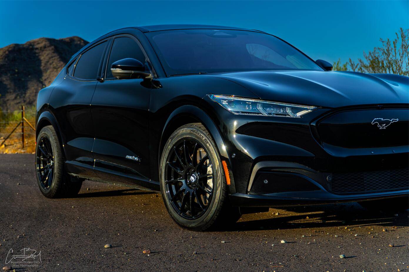 Mach-E Aftermarket wheel and tire information and pictures | MachEforum ...