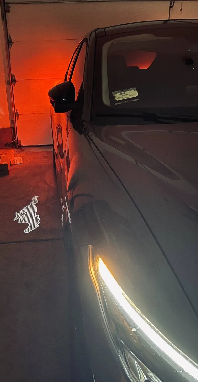 What is the pony projection lamp? | MachEforum - Ford Mustang Mach-E ...