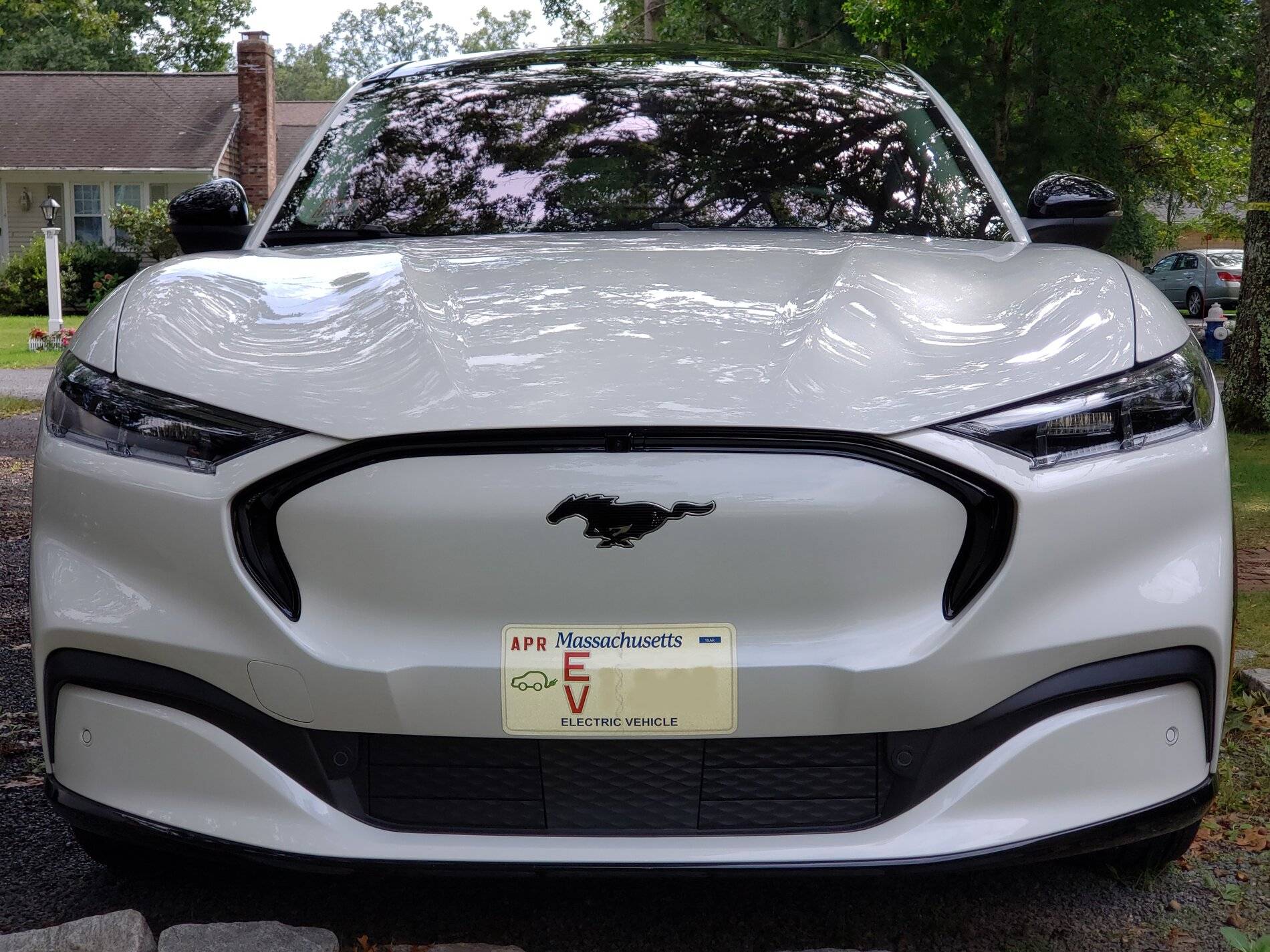 Replaced Front License Plate with a Vinyl Sticker | Page 2 | MachEforum ...