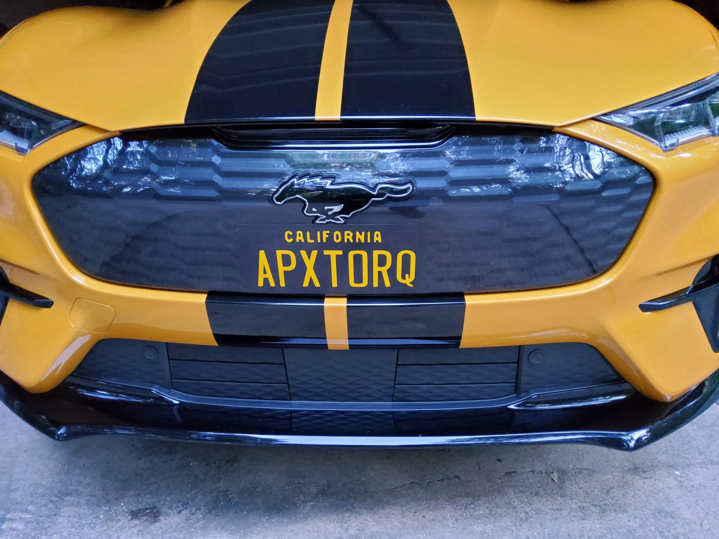 Mach-E GTPE owner installs new California "Decal Plate" | MachEforum ...