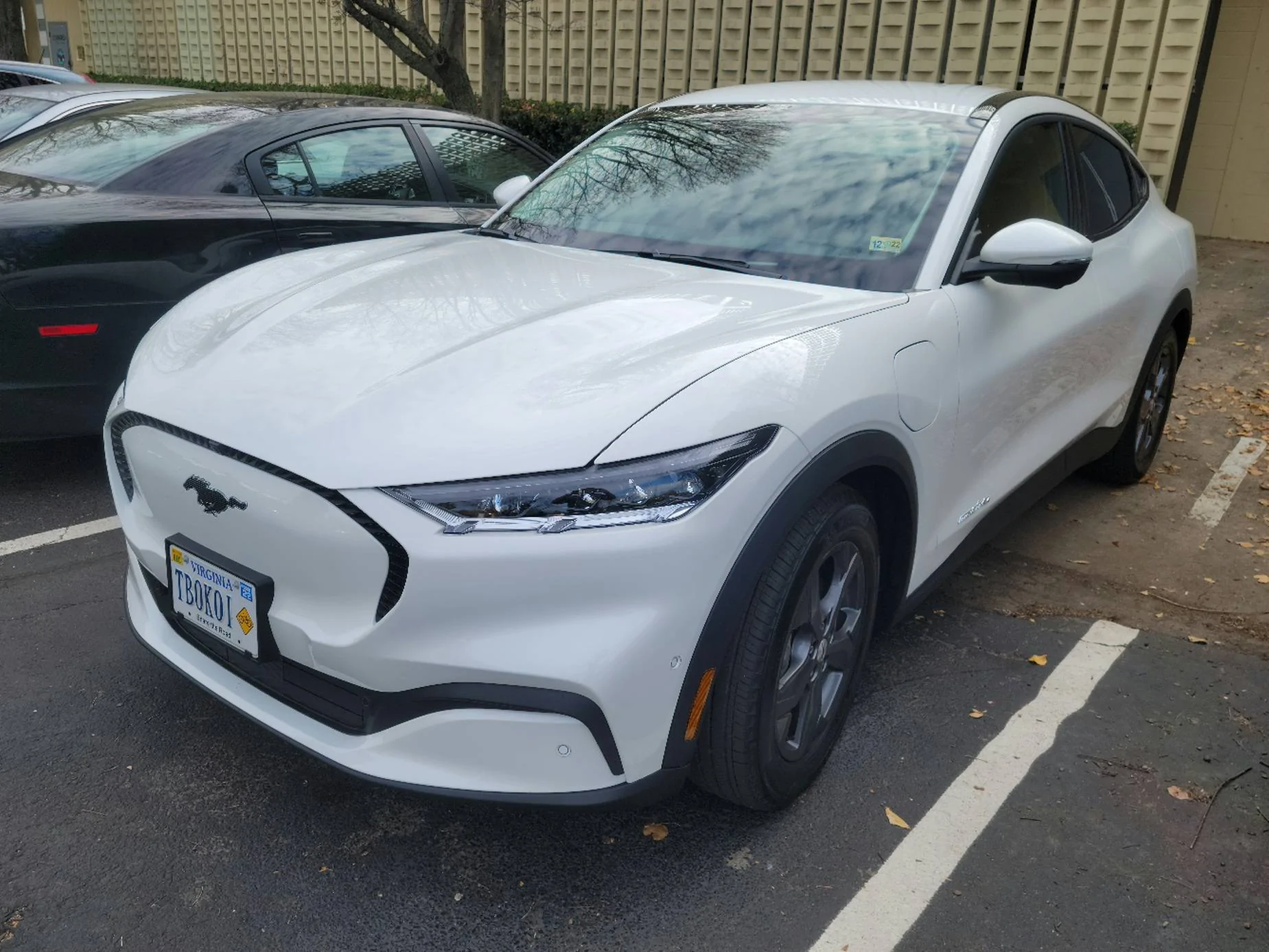 A Good Dealership Experience | MachEforum - Ford Mustang Mach-E News ...