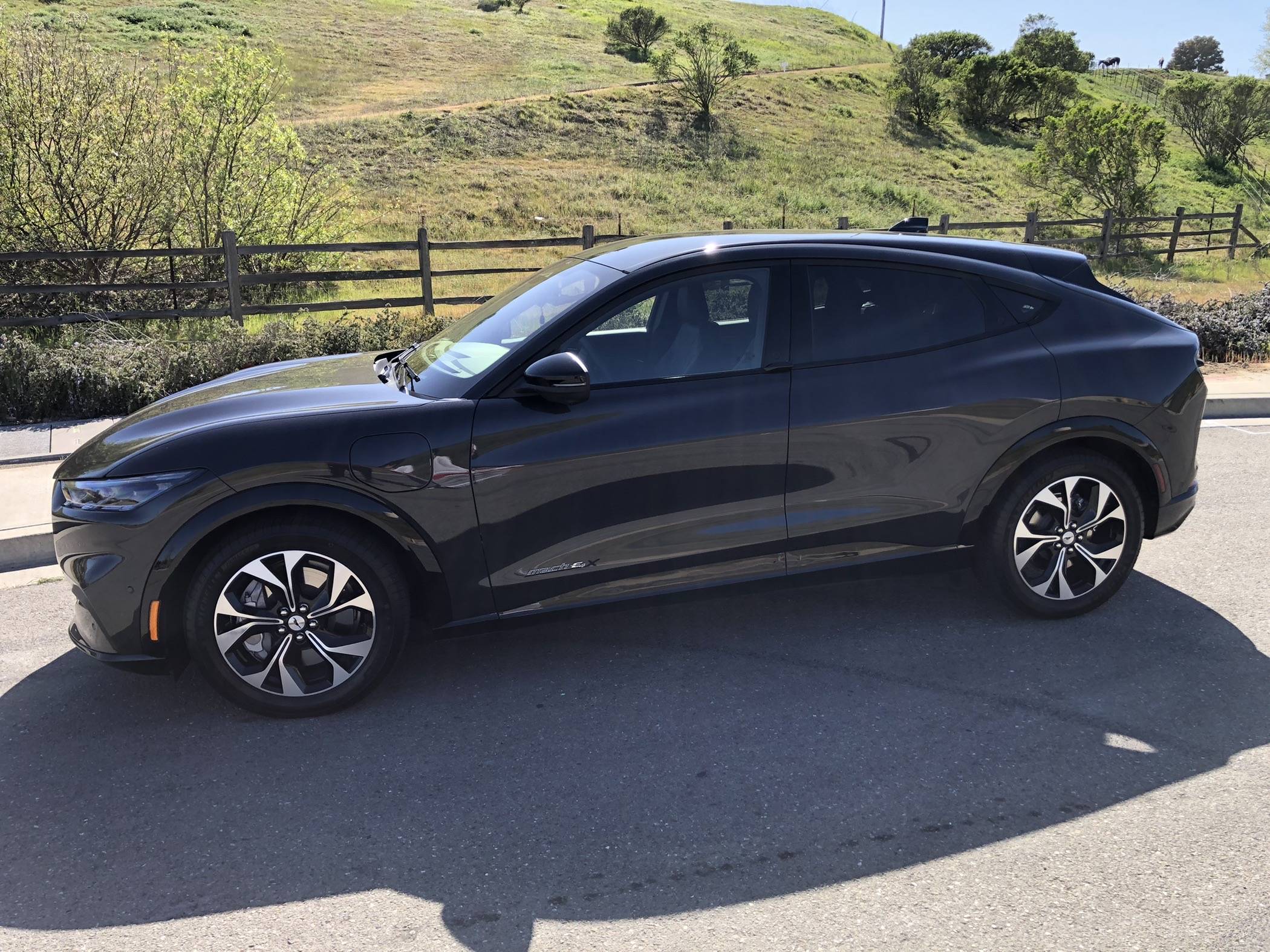 Mach-E Premium DMG color, tailgate misalignment and rear window seal ...