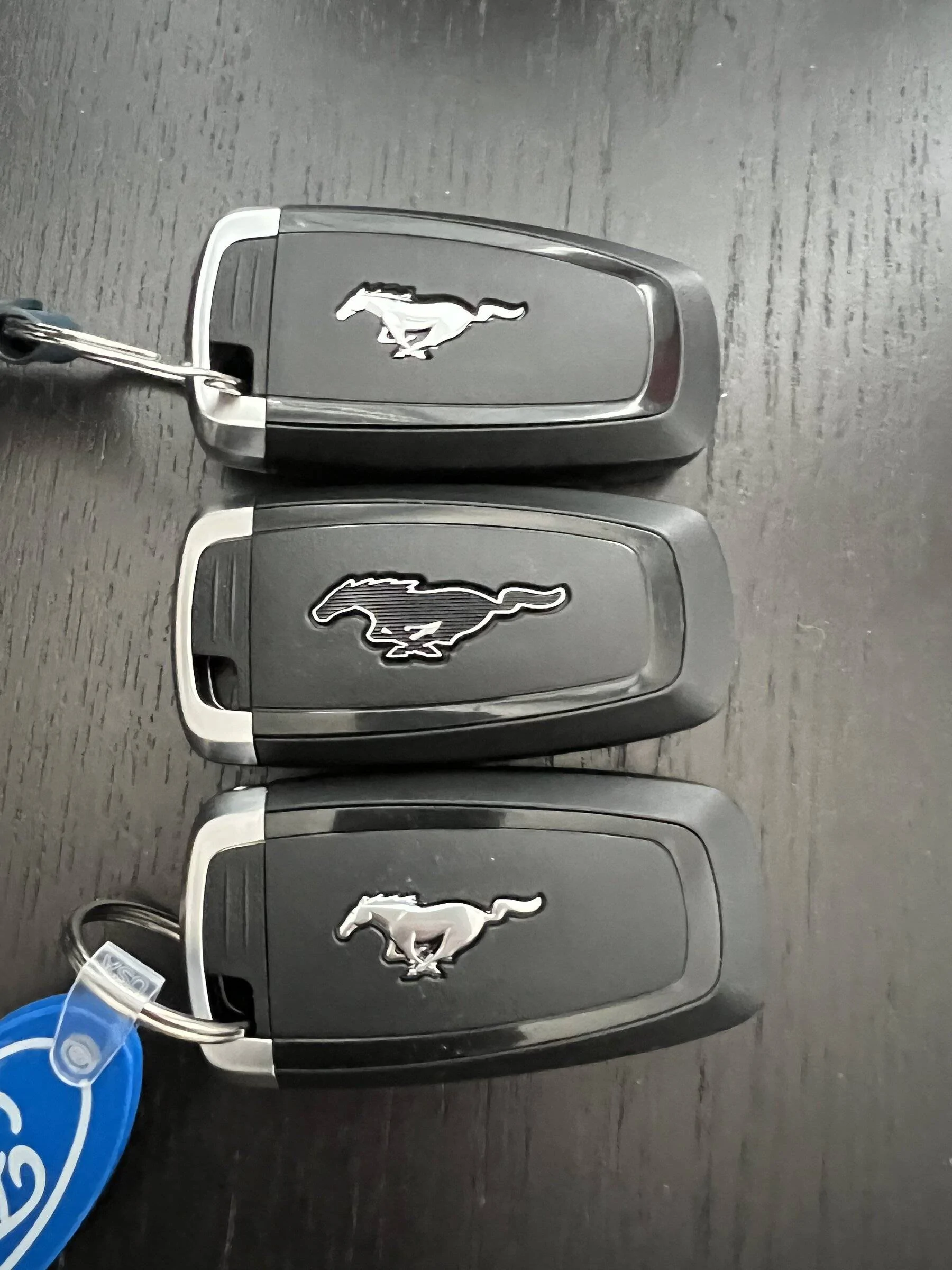 Mach-E Specific Fob/Emblem | MachEforum - Ford Mustang Mach-E News ...