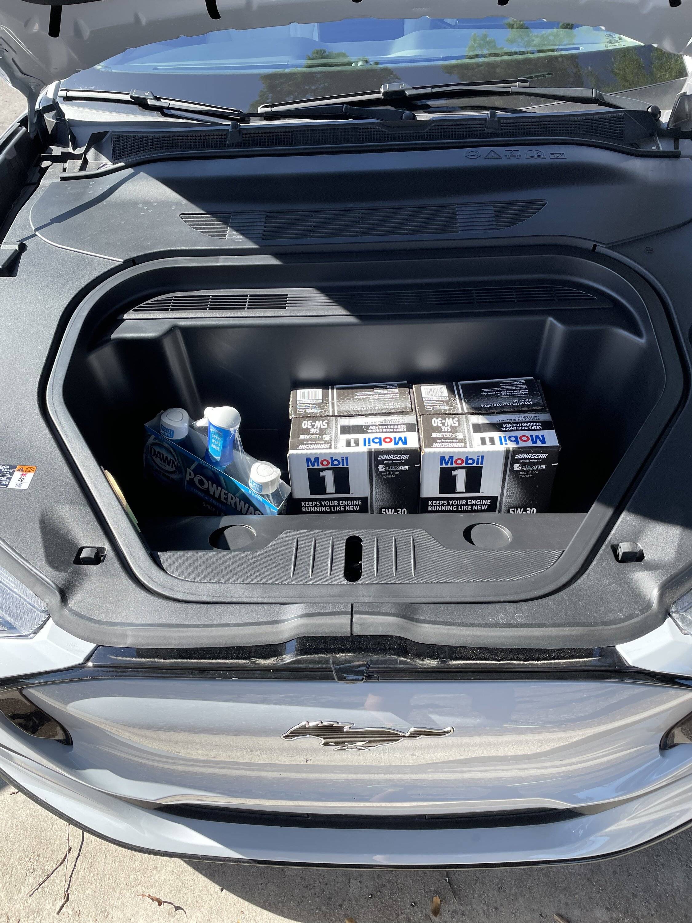 To Frunk or not to Frunk. That is the question. | MachEforum - Ford ...