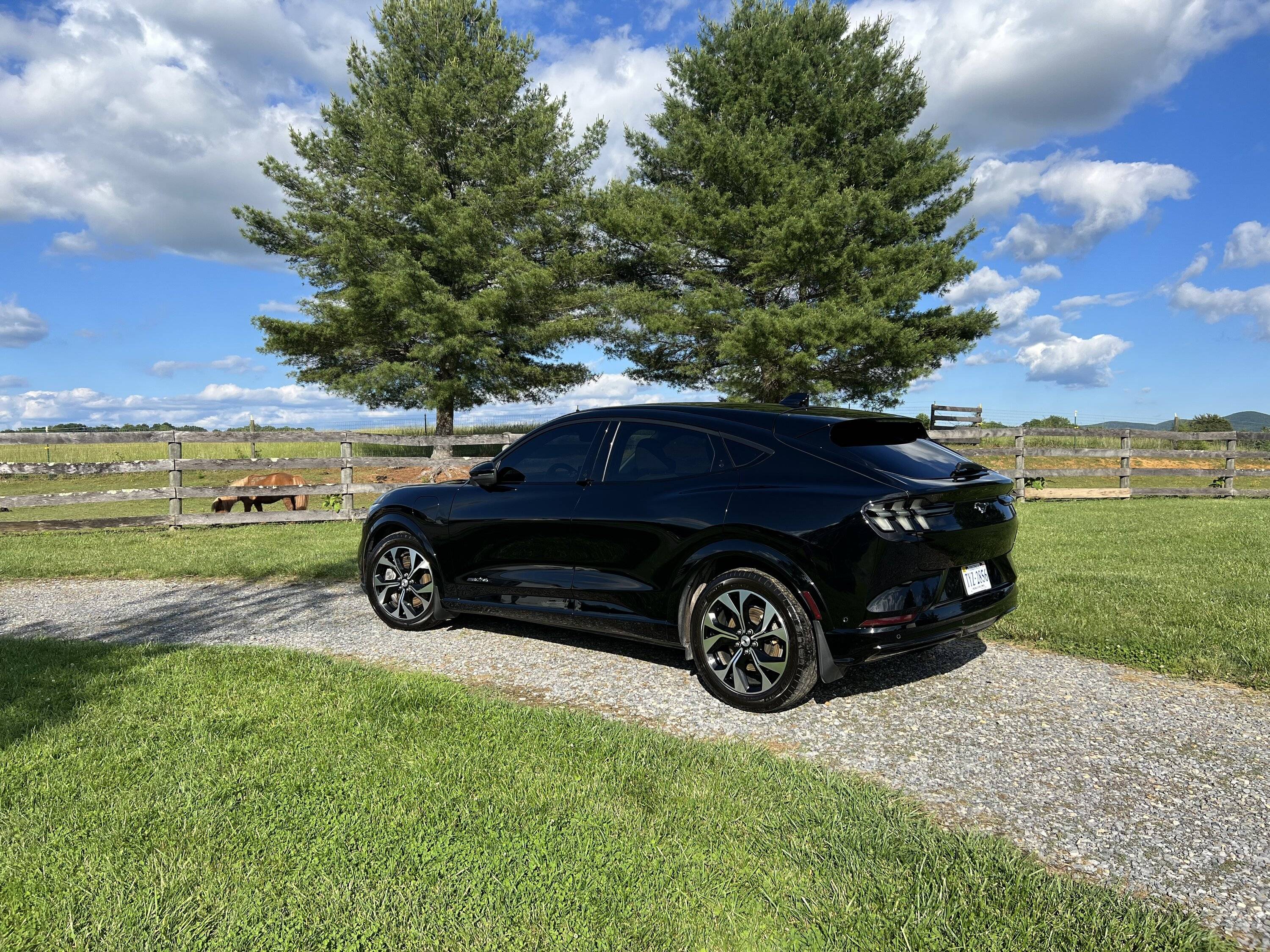 mach e with custom mods, stickers, wheels, graphics, emblems anything ...