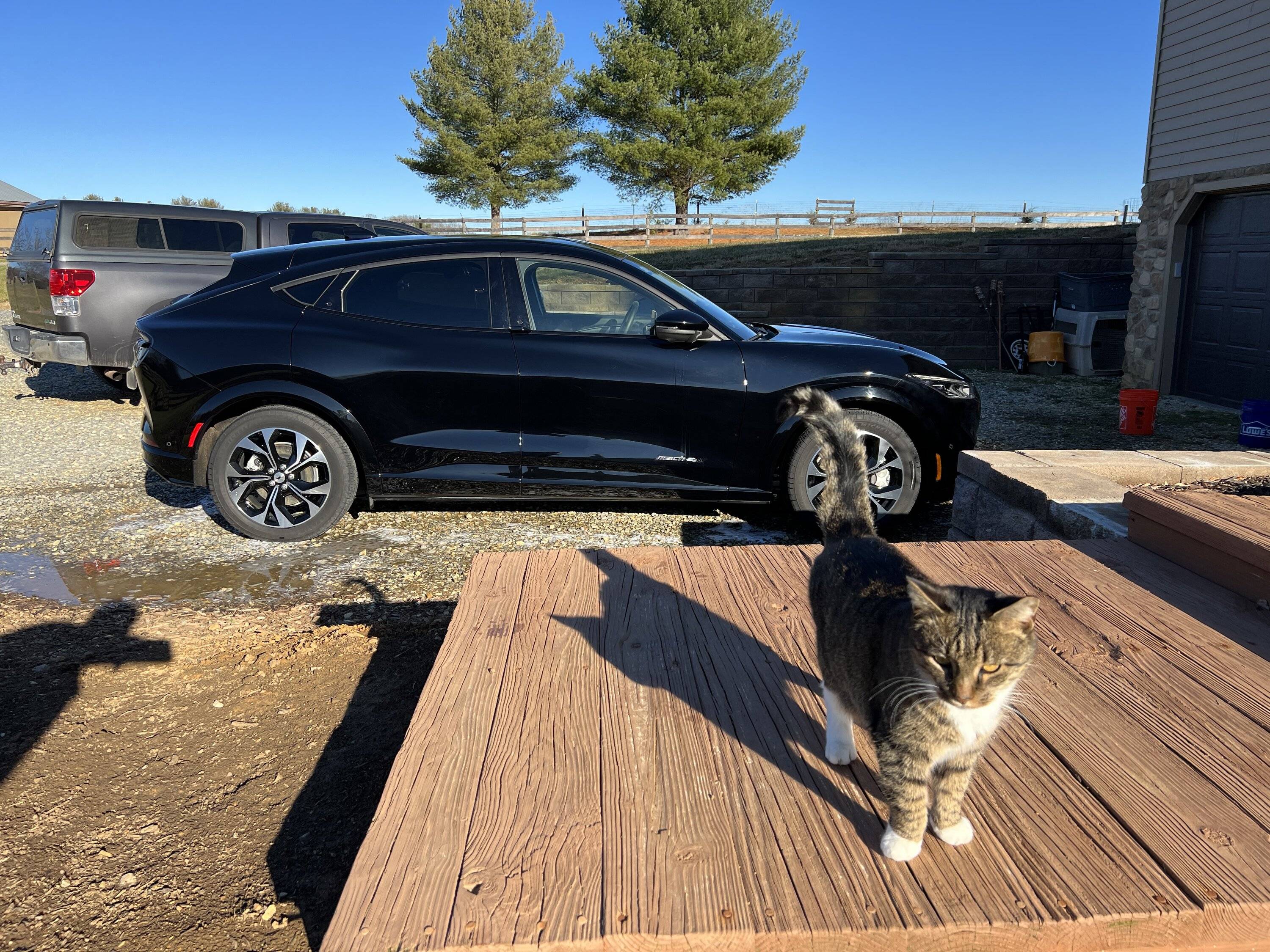 mach e with custom mods, stickers, wheels, graphics, emblems anything ...