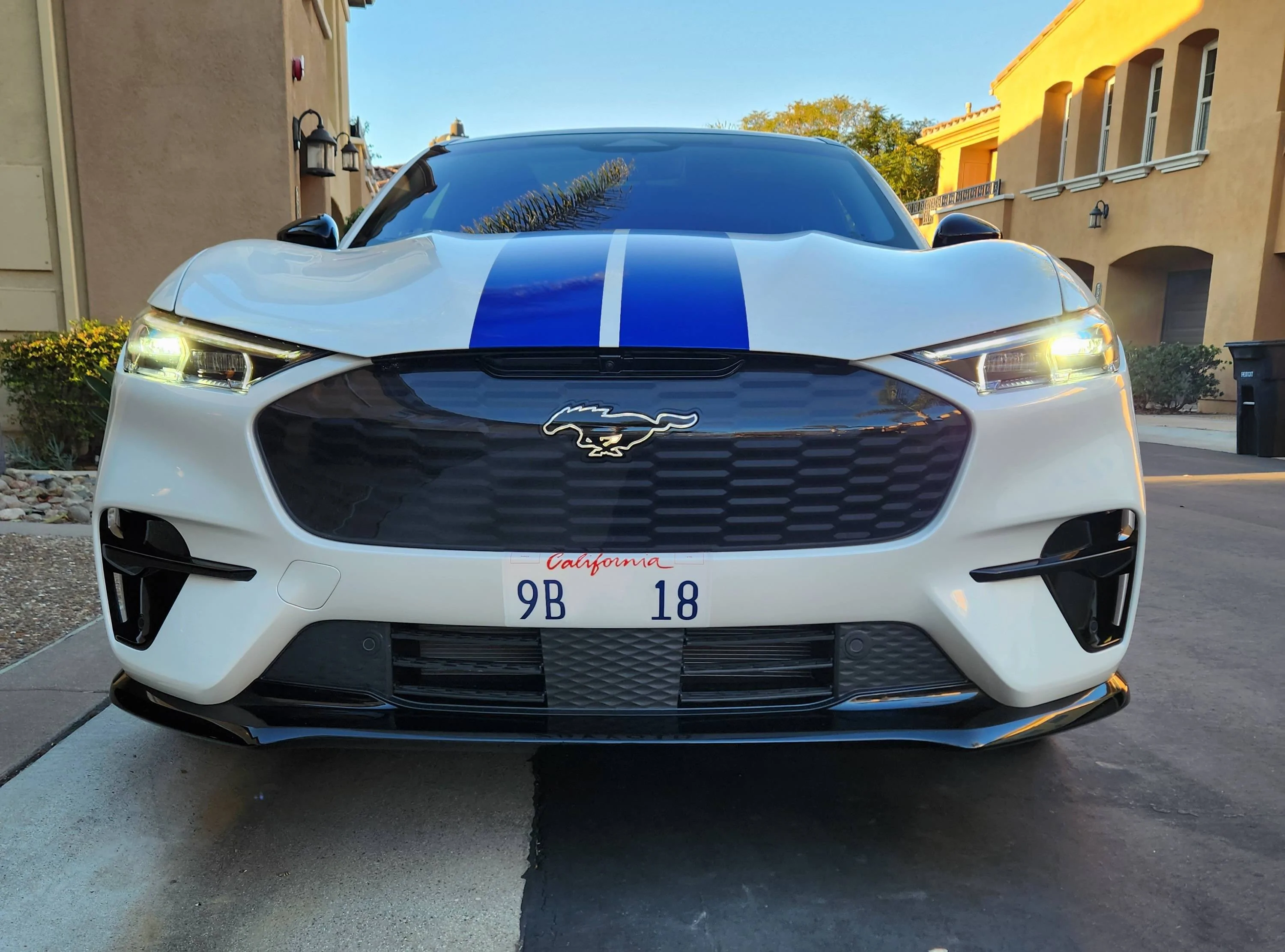 Replaced Front License Plate with a Vinyl Sticker | Page 6 | MachEforum ...