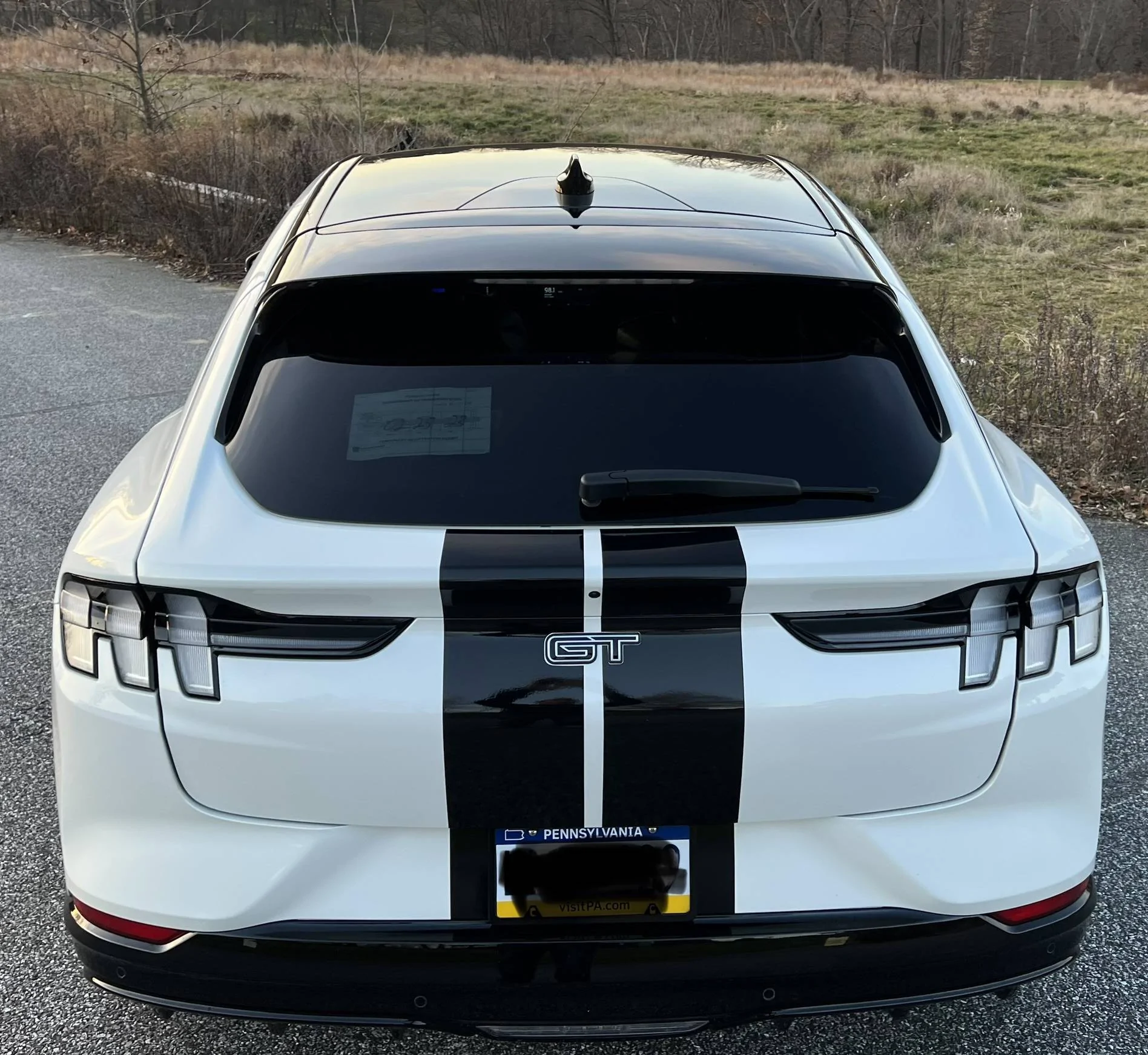 Mach E-GT Racing Stripes added today (black stripes on Star White ...