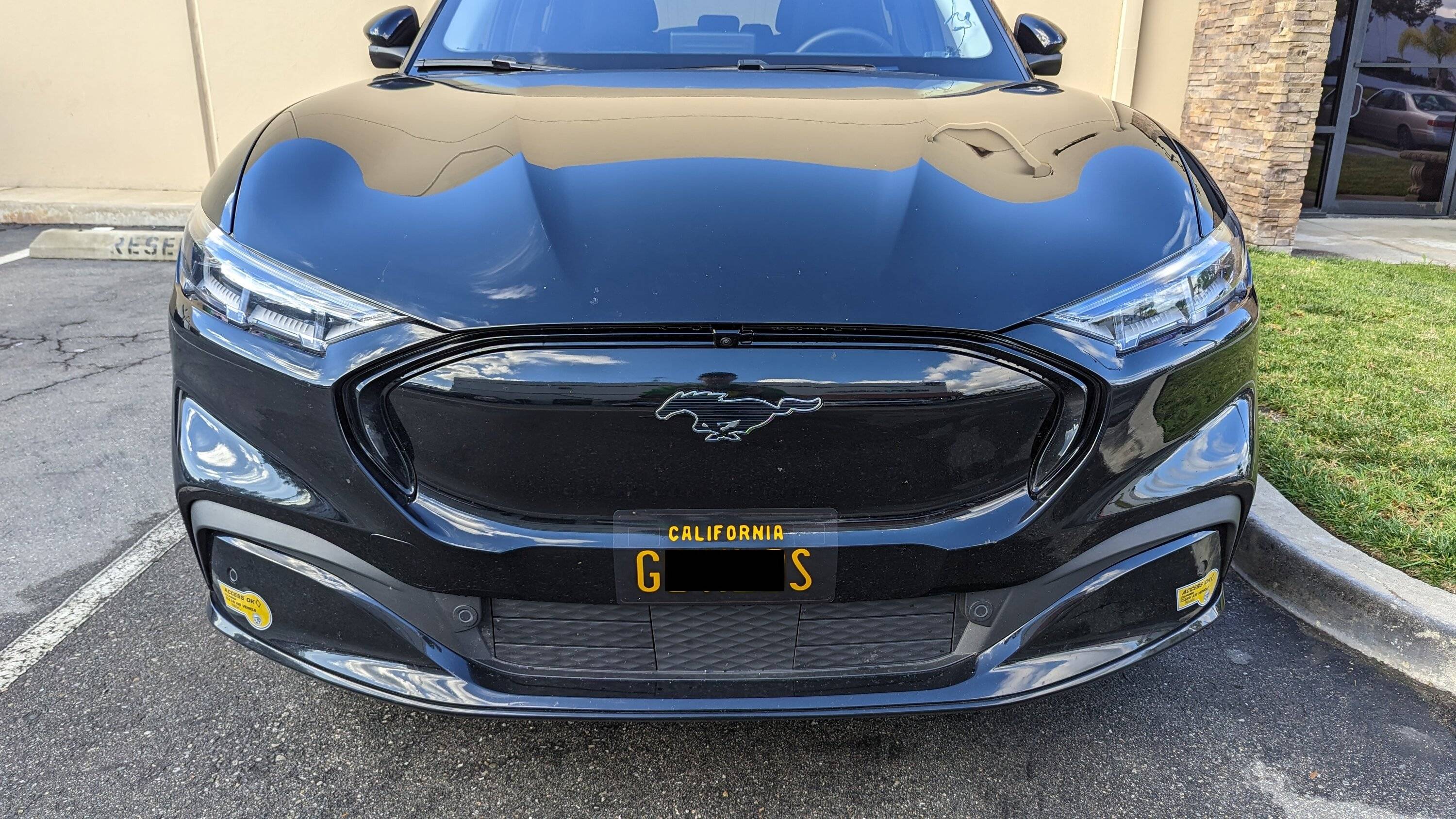 Front License Plate Decal | MachEforum - Ford Mustang Mach-E News ...