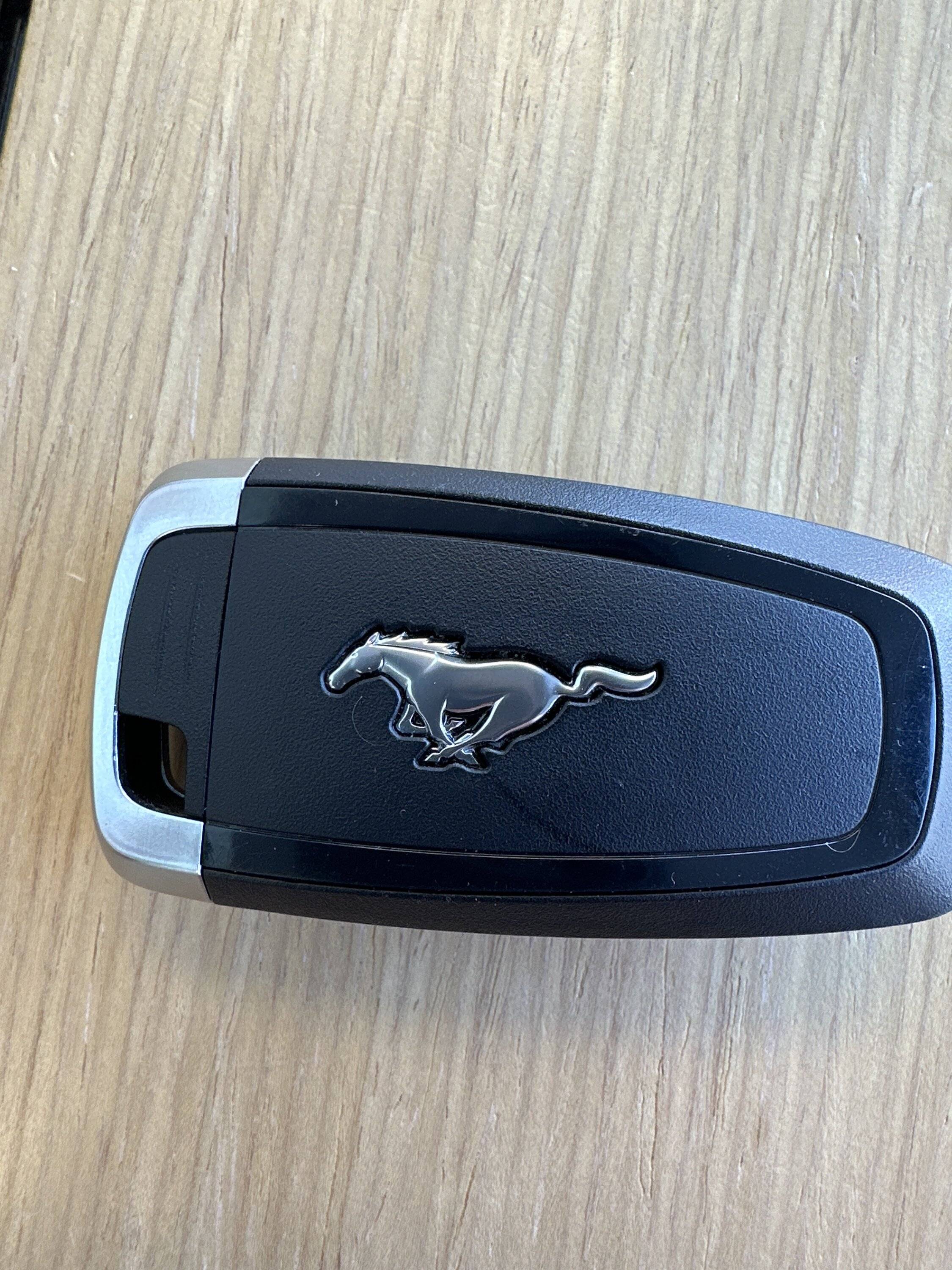Different Key Fob Cover | MachEforum - Ford Mustang Mach-E News, Owners ...
